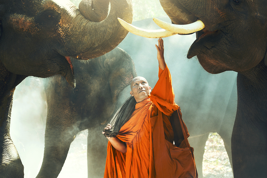 3 Elephants Meaning